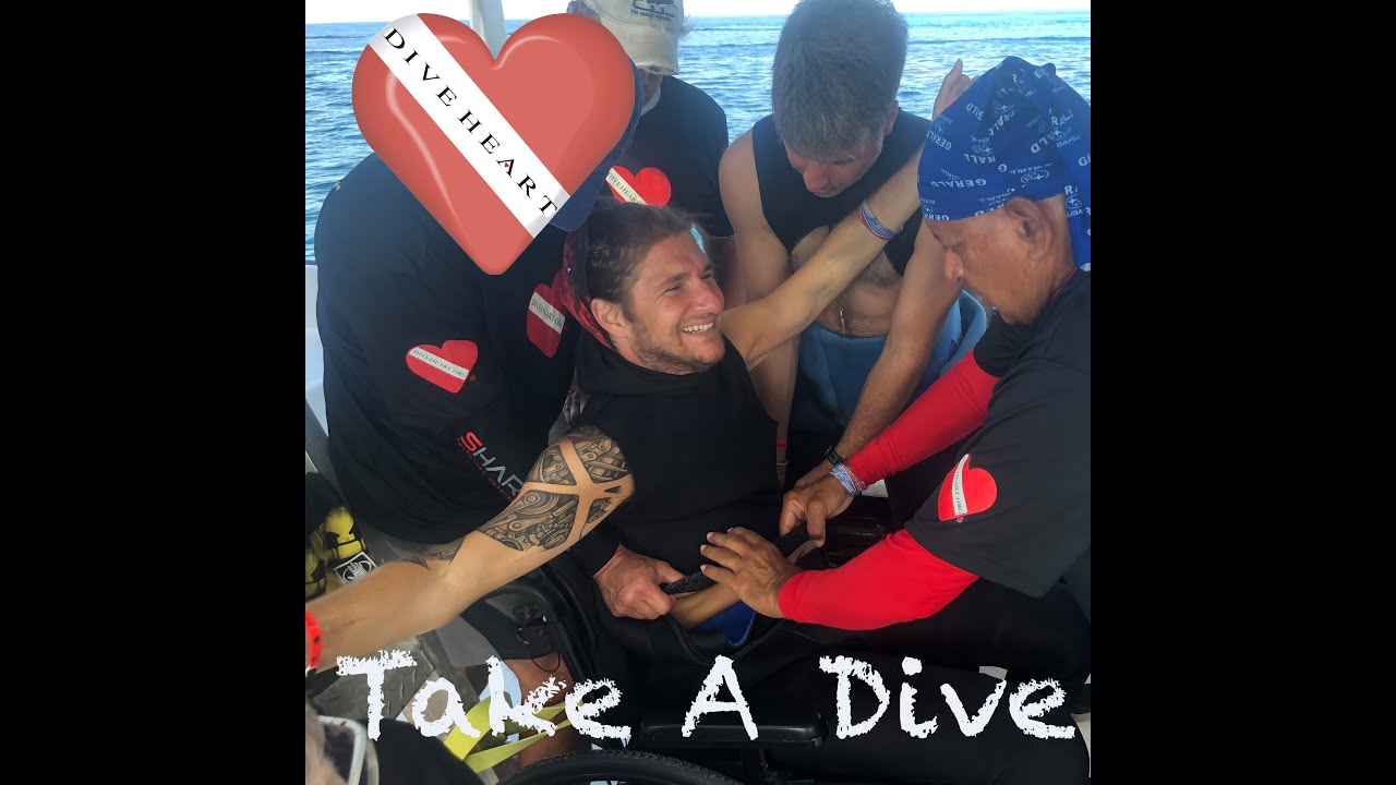 Take A Dive - YouTube