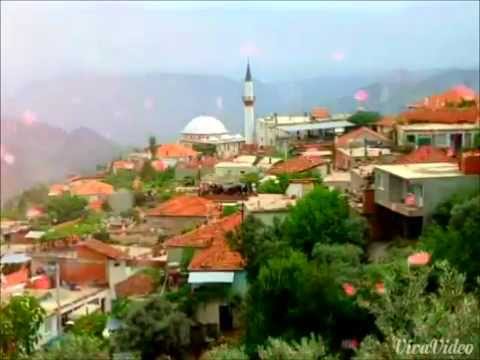 BEDİA AKARTÜRK (cevizin yaprağı) (AYDIN KÖŞK AKÇAKÖY 11)