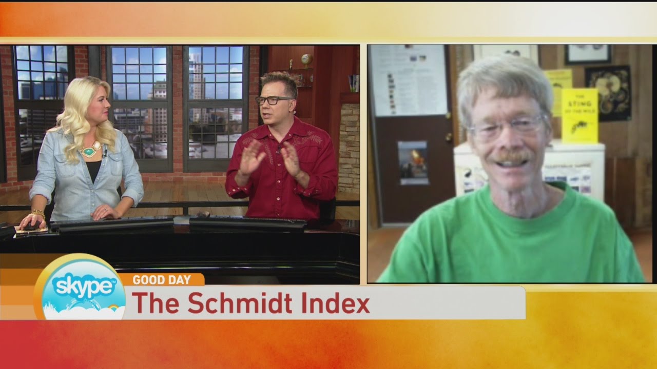 Schmidt Pain Index 2 - YouTube