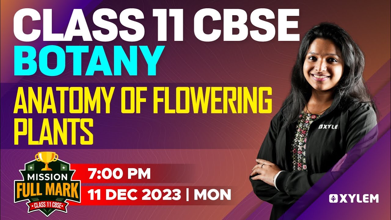 Class 11 CBSE - Botany - Anatomy of Flowering Plants | Xylem CBSE 11 ...