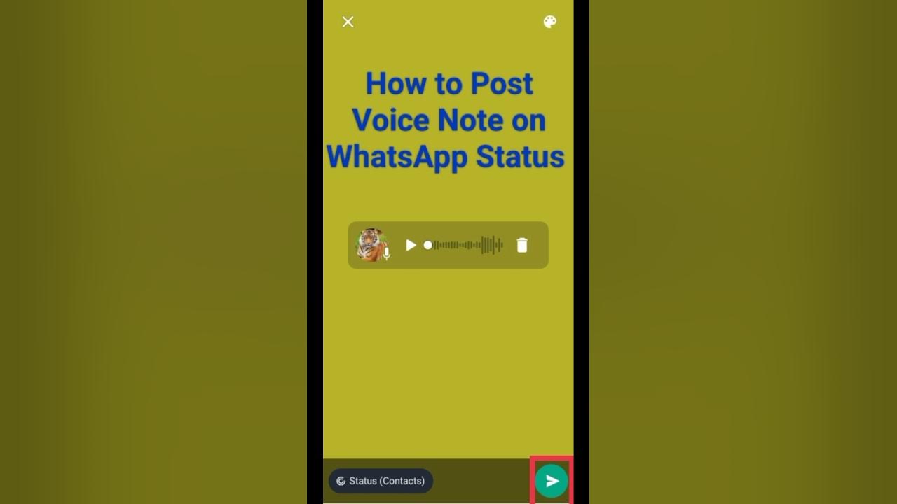 How To Post Voice Note On WhatsApp Status How To Send Voice Note On how-to-post-voice-note-on-whatsapp-status-how-to-send-voice-note-on