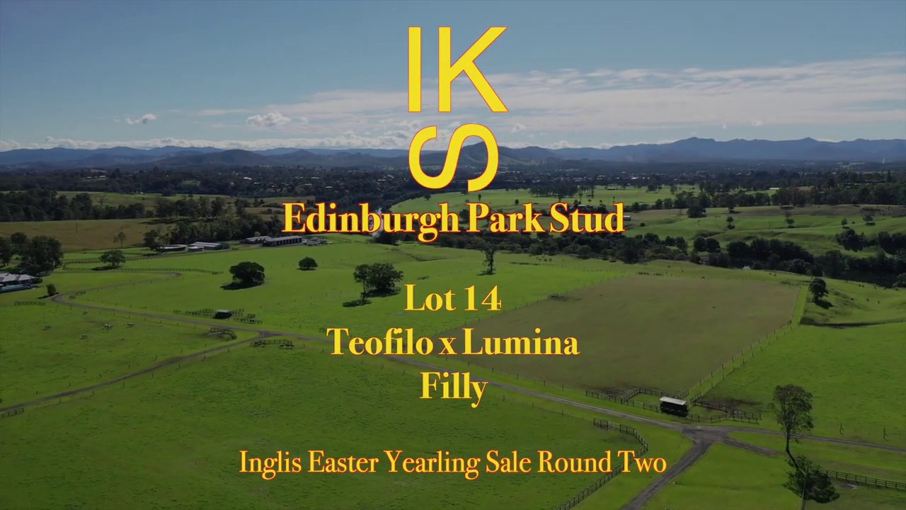 Lot 14 - Inglis Easter - YouTube