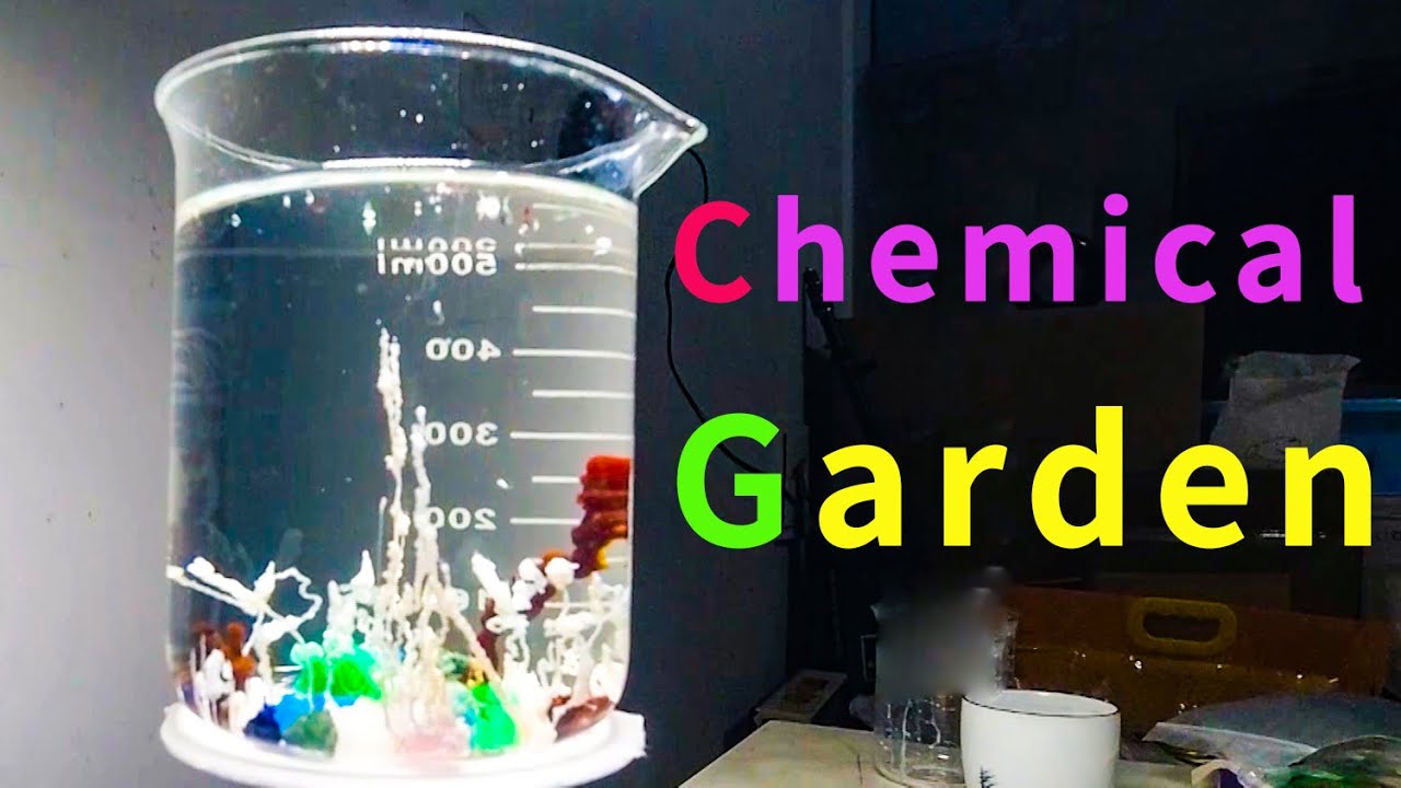 Making beautiful chemical garden - YouTube