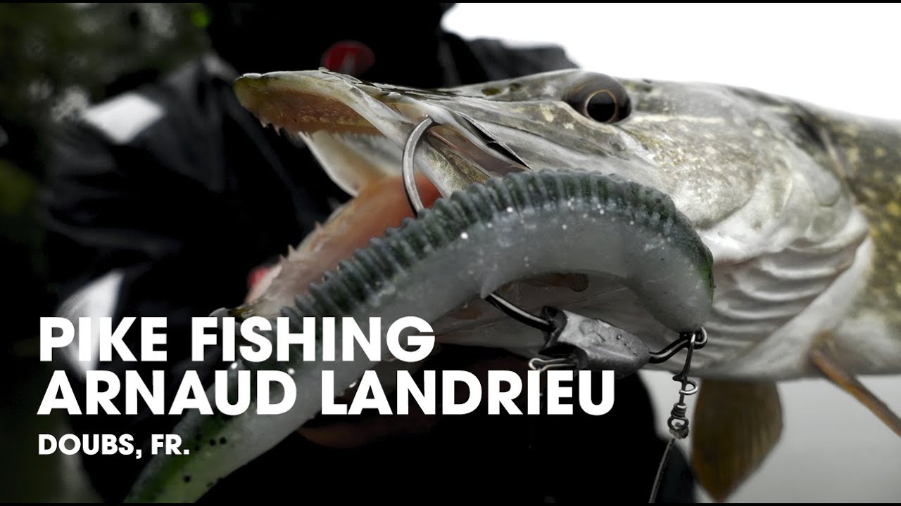 PIKE FISHING | Doubs, France - YouTube
