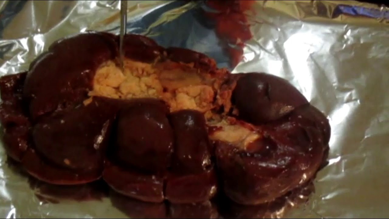 Beef Kidney Dissection - YouTube