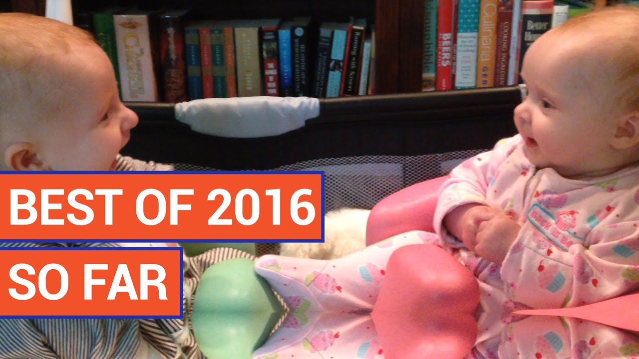Best Moments of 2016 Video Compilation 2016 - YouTube