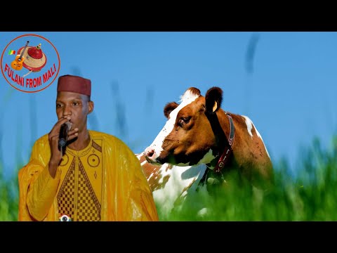 Pullo-mo-nagge by Abba galle