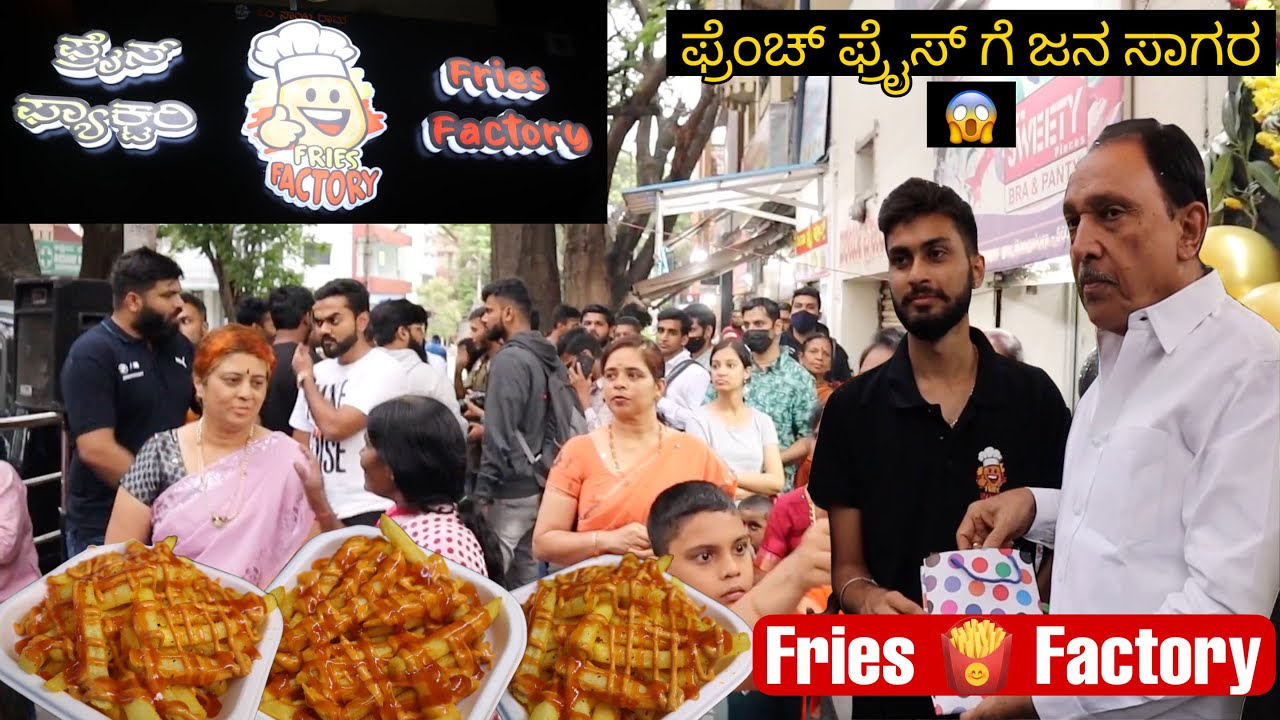 Fries Factory Opening @TheThrottler - 14 Flavours French Fries ...