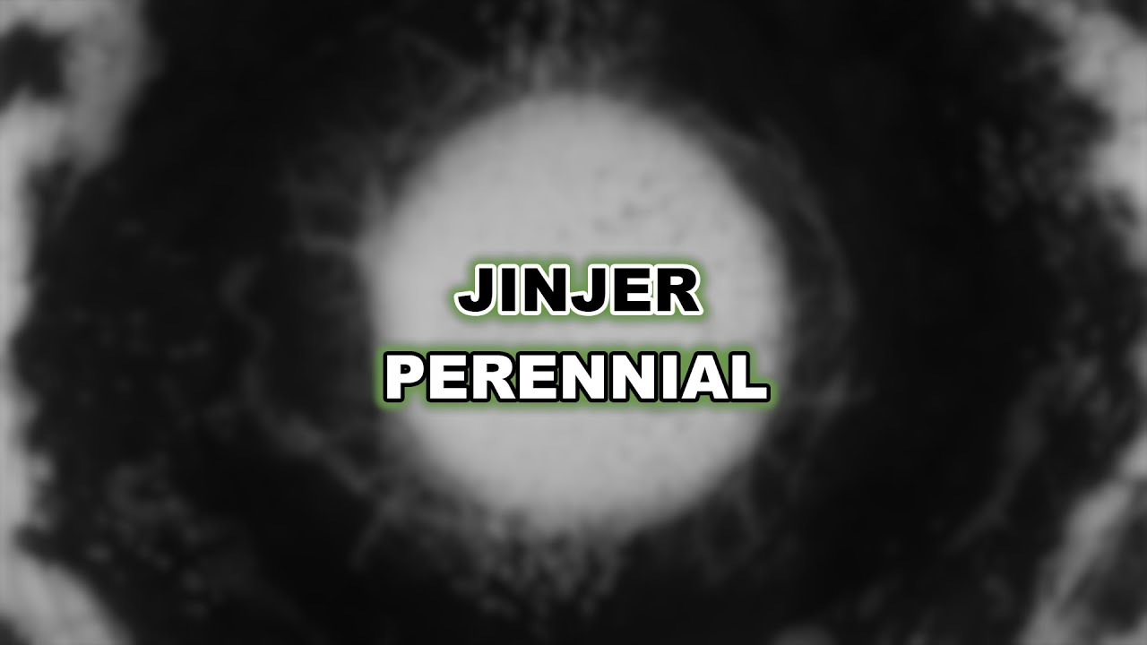 Jinjer - Perennial - [Lyrics+Sub Español] - YouTube
