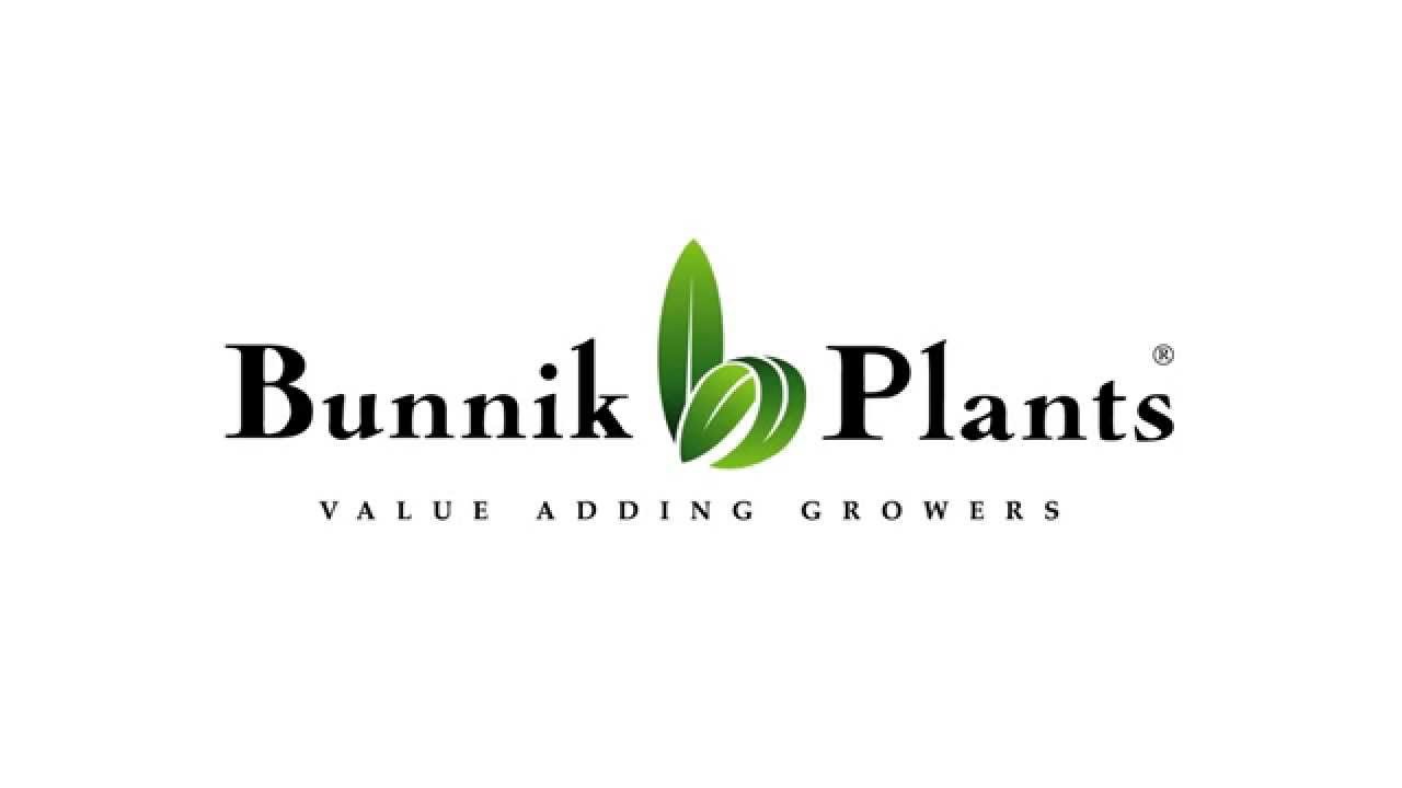 Bunnik Plants logo - YouTube