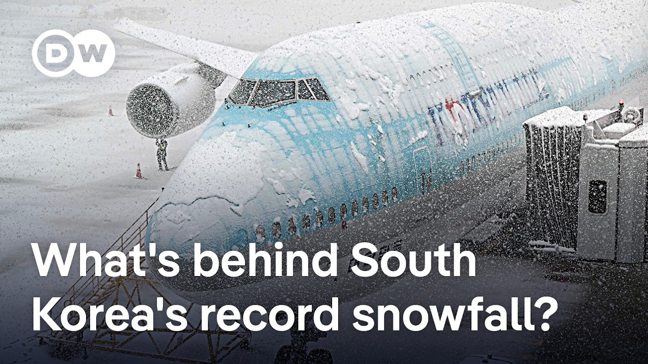 South Korea: At least 4 dead in heaviest November snowfall on record ...