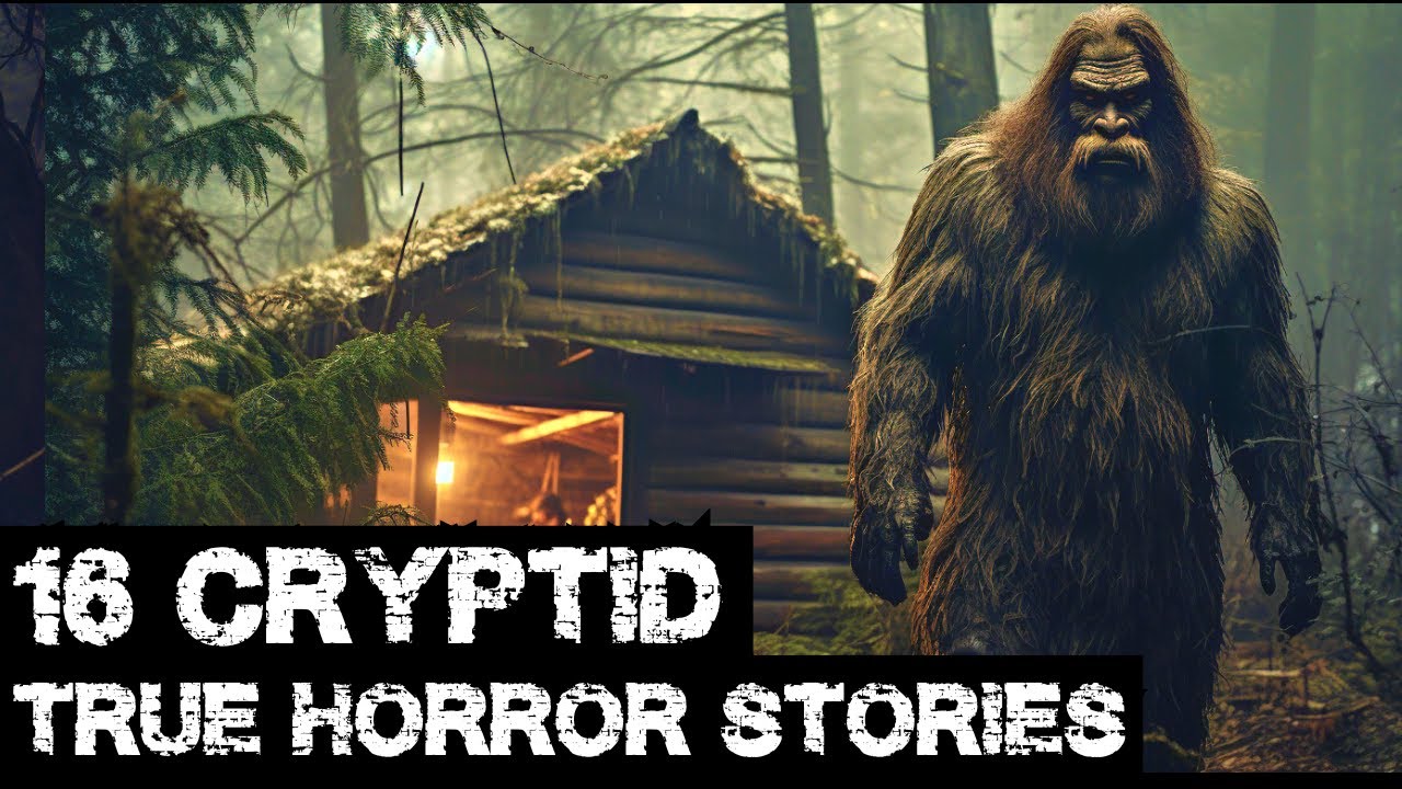 16 TRUE Extremely Terrifying Cryptid Horror Stories Told In The Rain ...