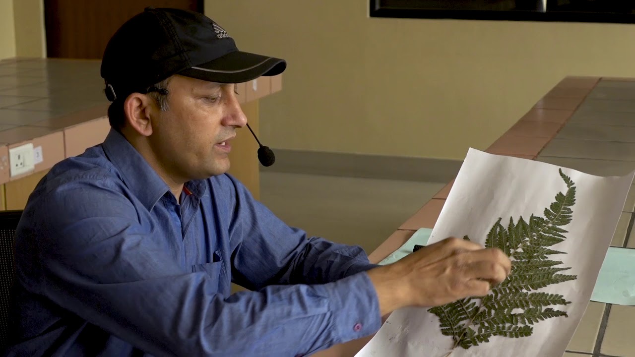 Class 11 Biology Botany practical part 2 - YouTube