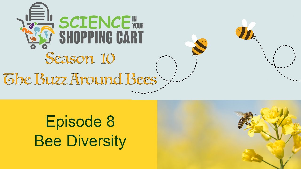 Science In Your Shopping Cart | Season 10: The Buzz Around Bees || Episode 8: Bee Diversity ...