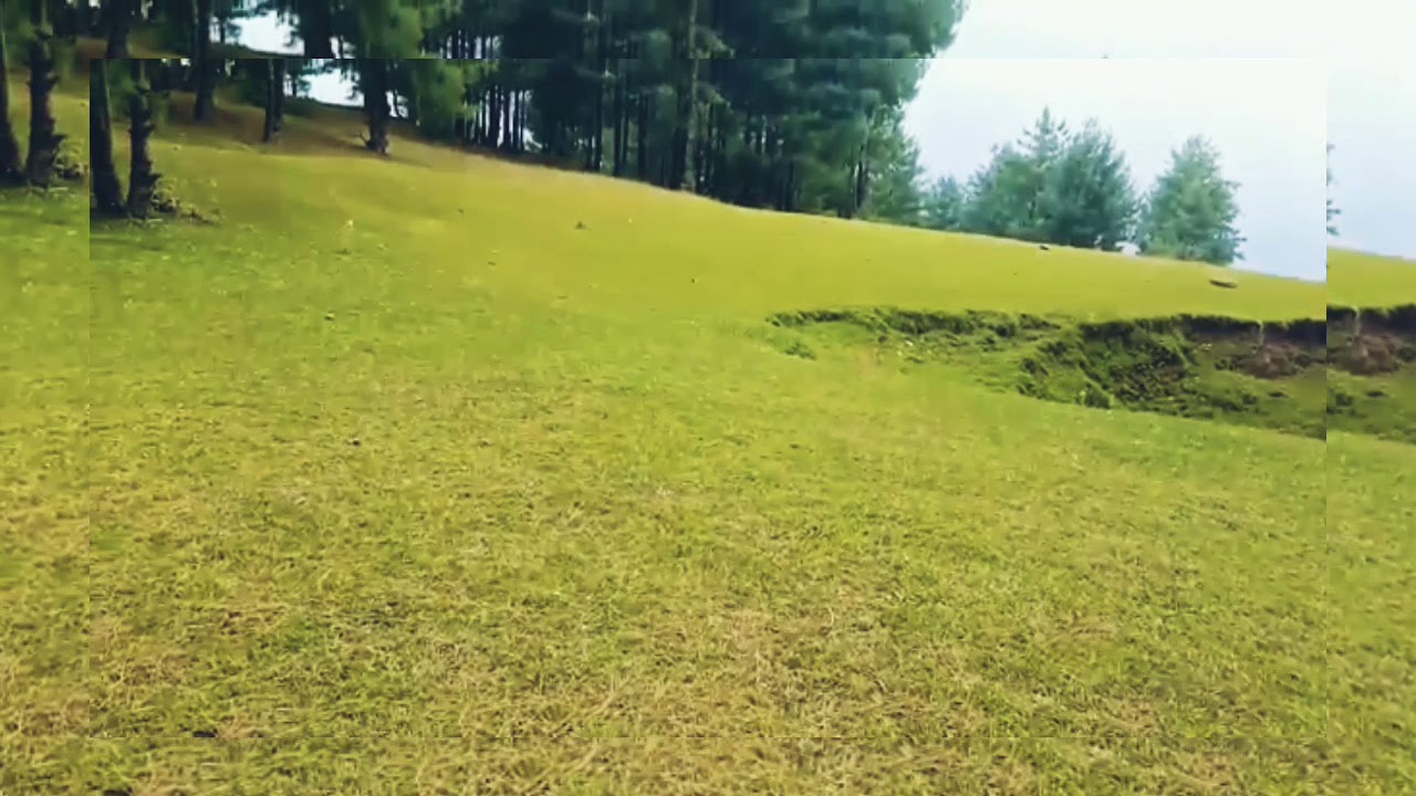 PaLLaNdRI AzaD KasHmiR... - YouTube