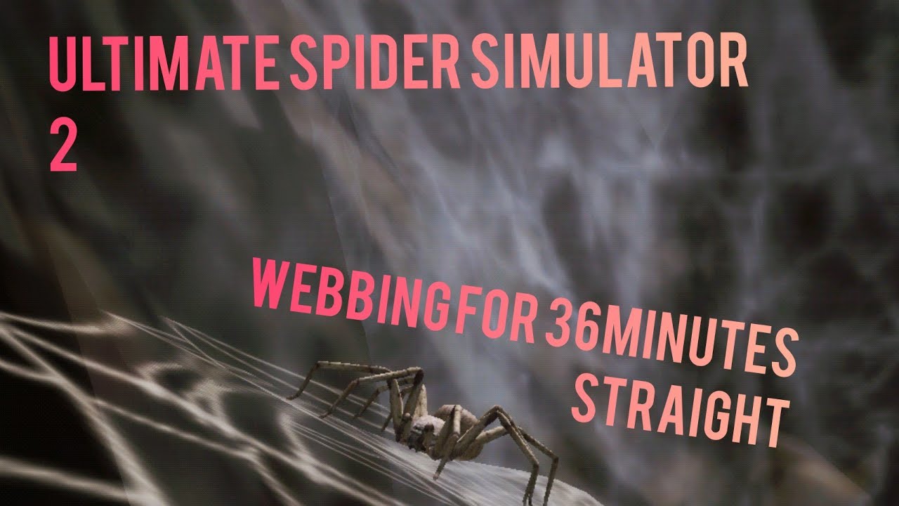 Webbing for 36 Minutes Straight | Ultimate Spider Simulator 2 (4x speed ...