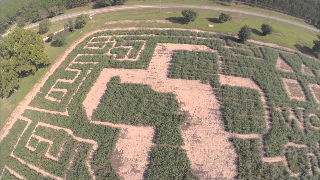 Amazing Grace Crop Maze - YouTube