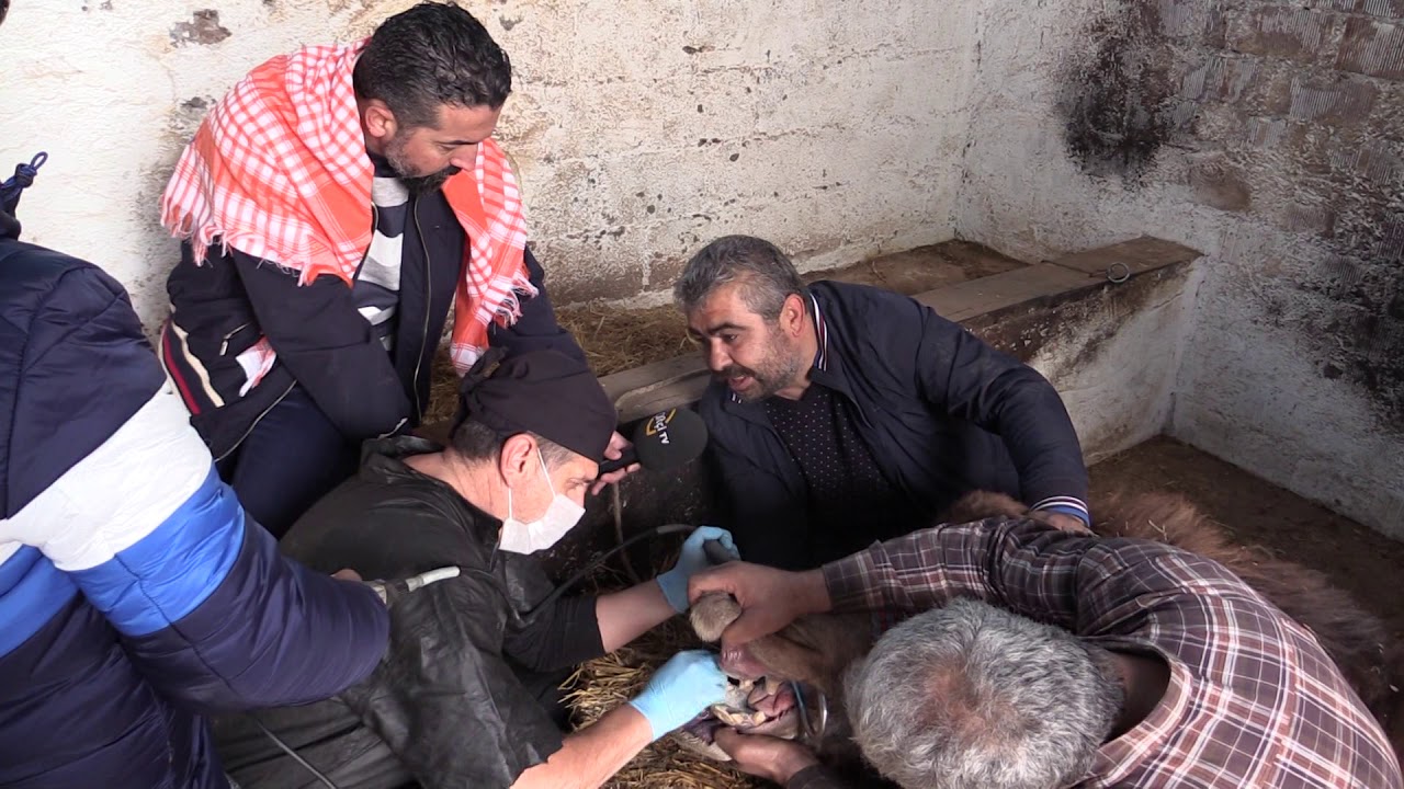 Savran 4.Bölüm Part2 - YouTube