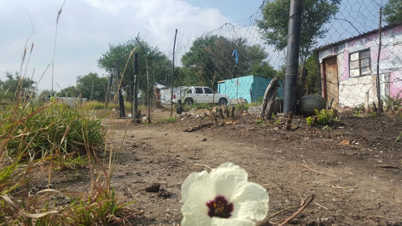 Oukasie honours boxing legend Corrie Sanders - YouTube