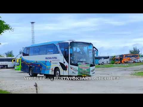 BUS TAYO KLAKSON TELOLET BASURI VIRAL 30 January 2024 09 17 21 AM 00150 - YouTube