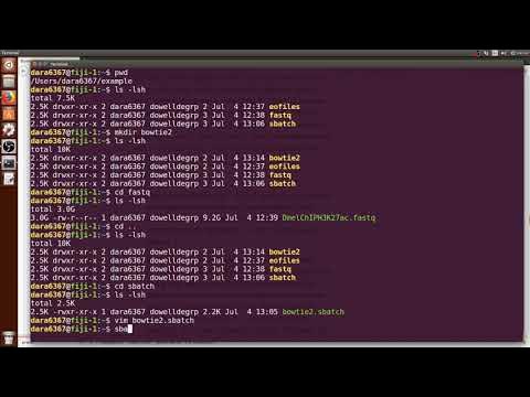 Running Bowtie2 - YouTube