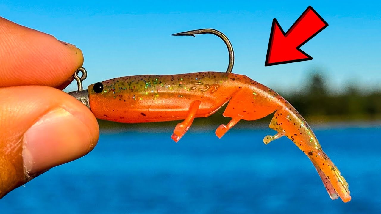 Are these the BEST Prawn lures? - YouTube