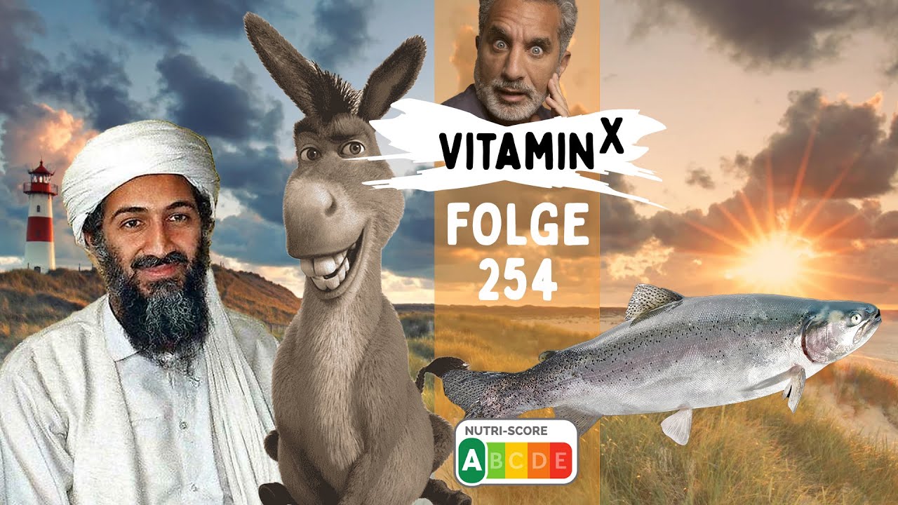 Bin Laden auf Esel oder Lachs nach Sylt geritten? 🐎🐬 | Samatou & Endres ...