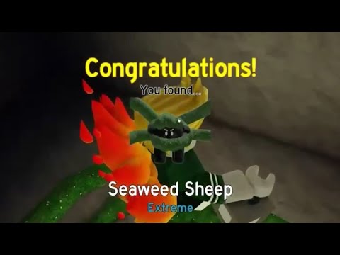 How to get SEAWEED Sheep in FIND THE SHEEP [ x10 Buttons ] Roblox - YouTube