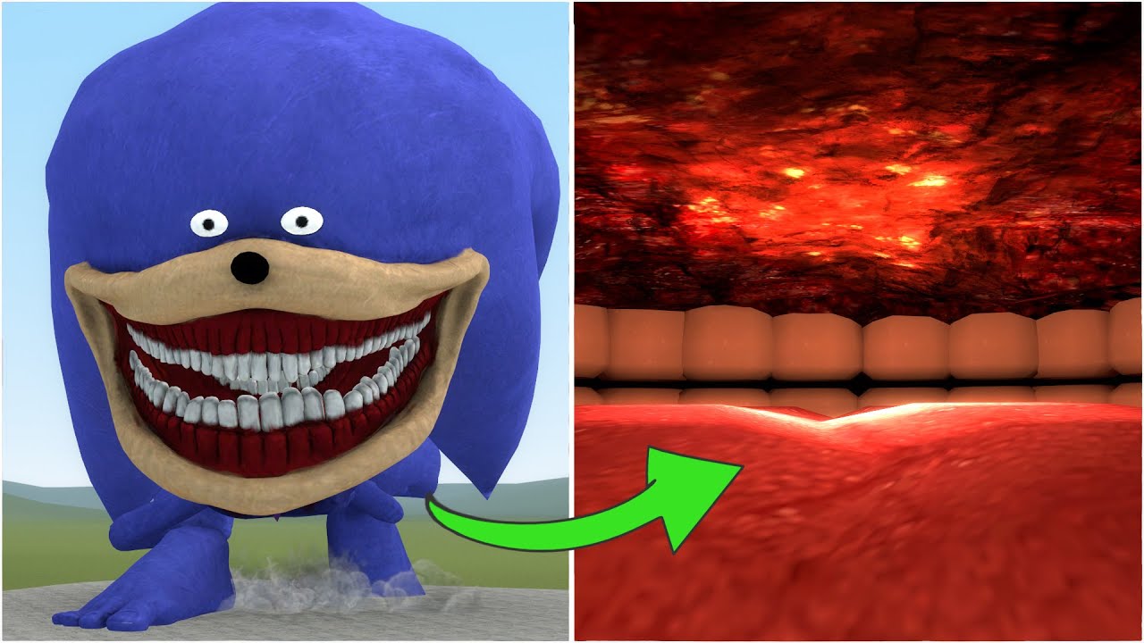 WHAT'S INSIDE THE MUTANT SONIC TAPES! (Garry's Mod) - YouTube