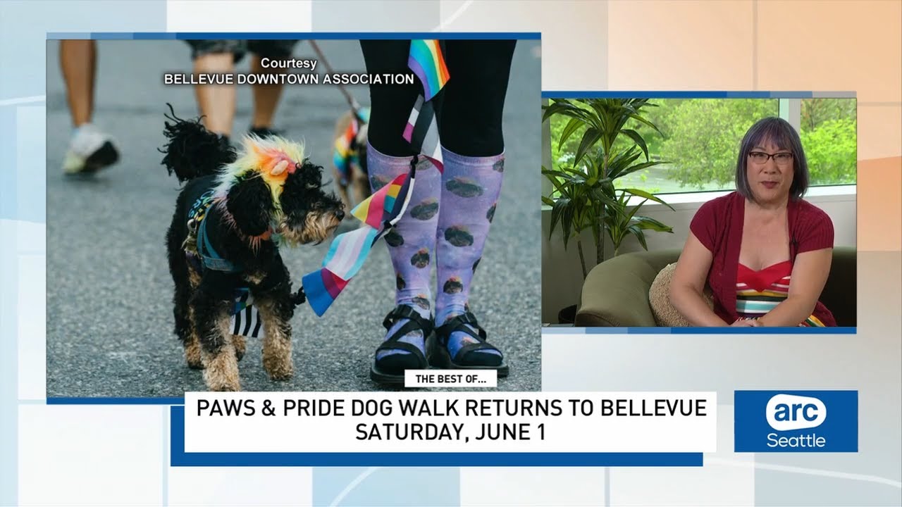 Paws & Pride Dog Walk returns to Bellevue - YouTube