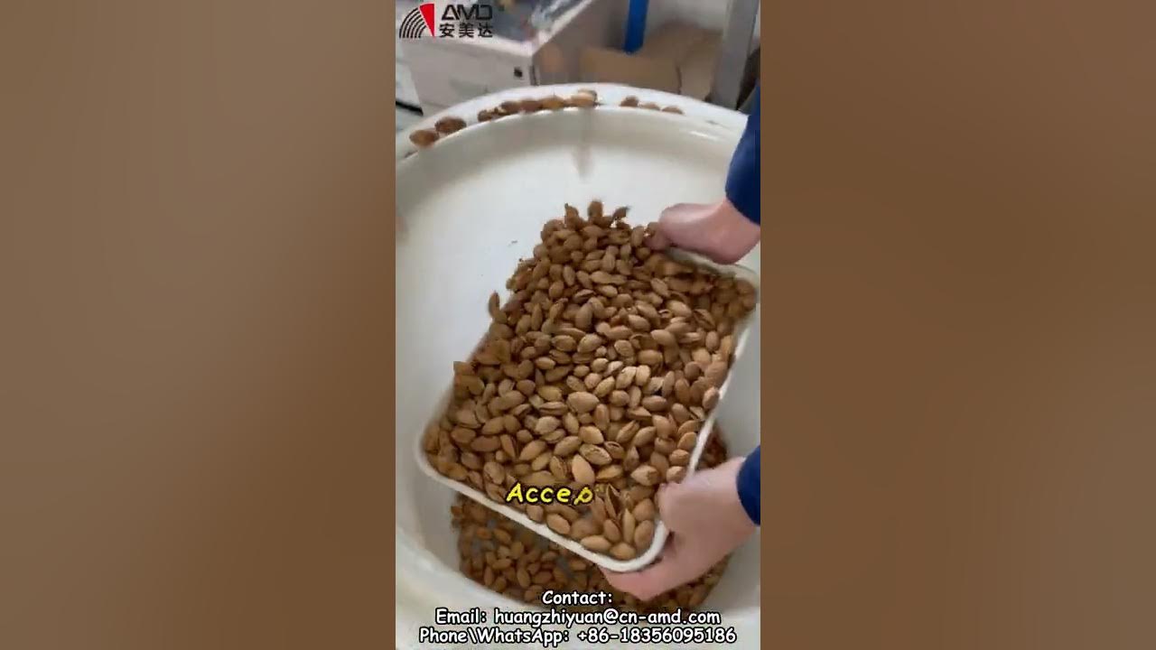 AMD Nuts Separating Color Sorter for Badam Almond Walnuts Sorting - YouTube
