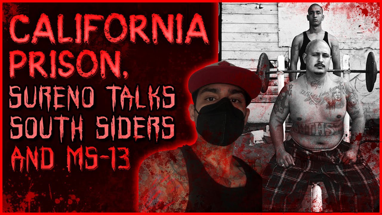 Ms 13 Vs Bloods