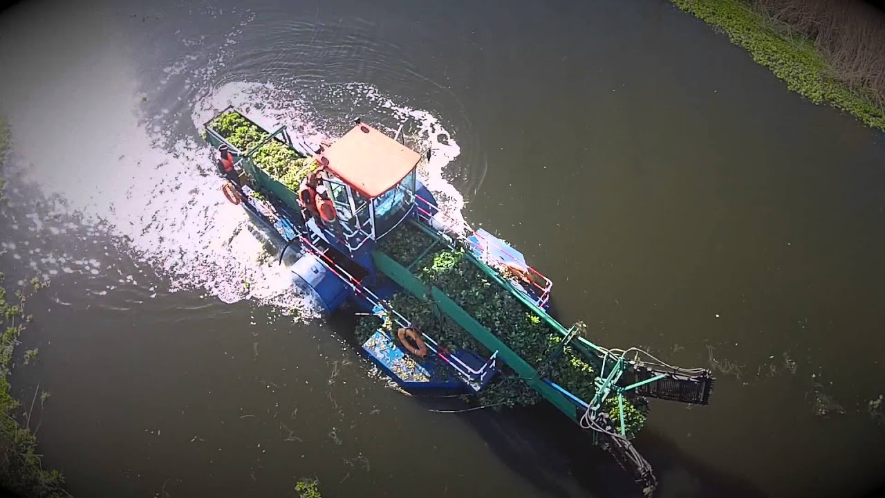 Amcor Dam Cleanup - YouTube