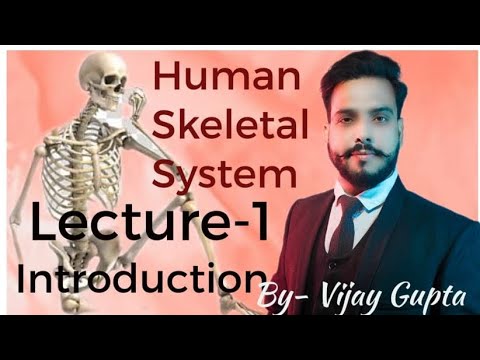 Human Skeleton System ( Skeletal system) Lecture-1 Introduction - YouTube