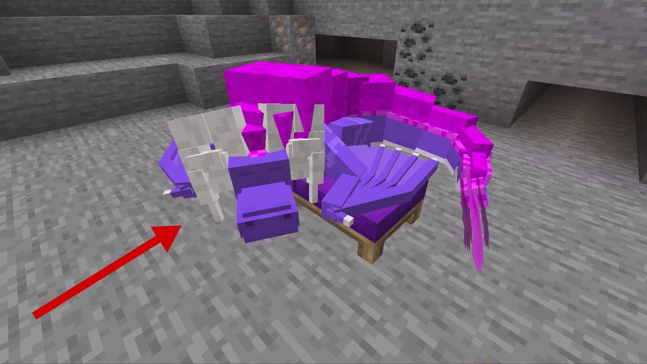 Rowan Wyvern Minecraft Custom Player Model Showcase - YouTube