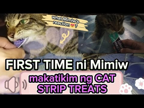 Mimiw's first time to taste CAT TREATS/ Lets see what's on his parcel ...