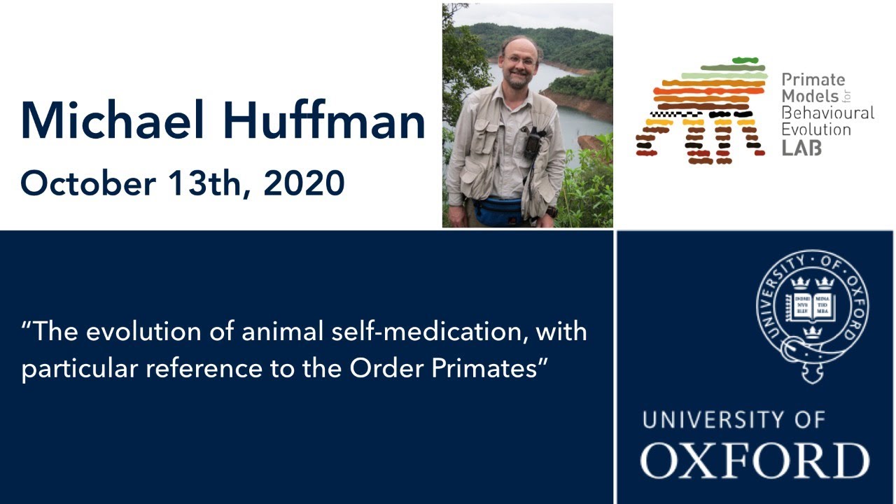 Primate Conversations with Michael Huffman - YouTube