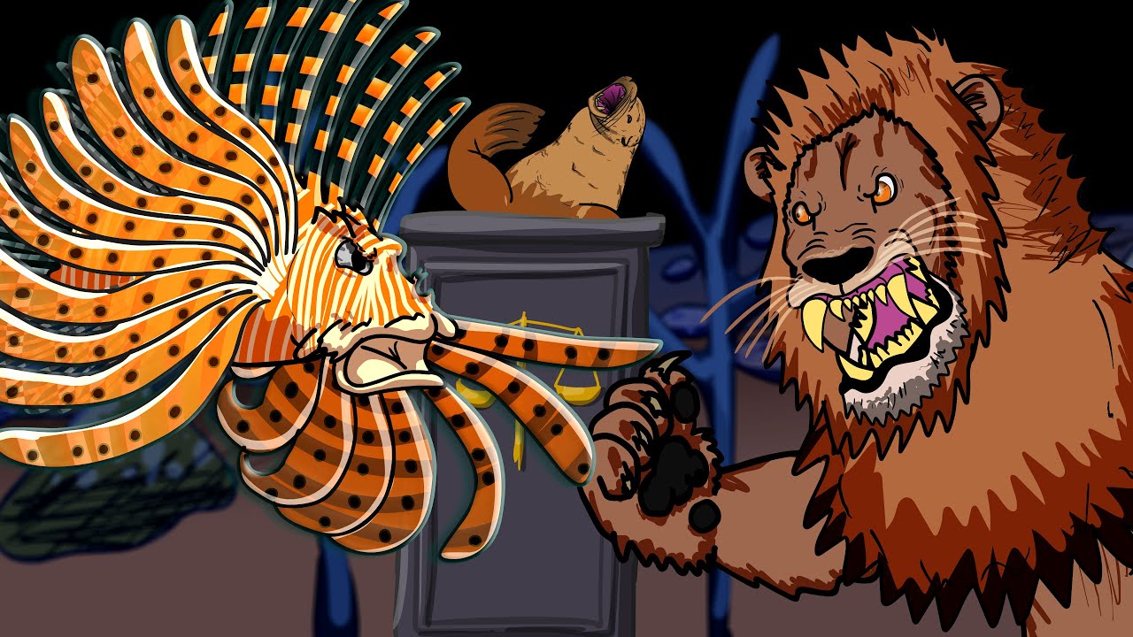 Lionfish VS Lion... in Court?! | Feature Creature #animation - YouTube