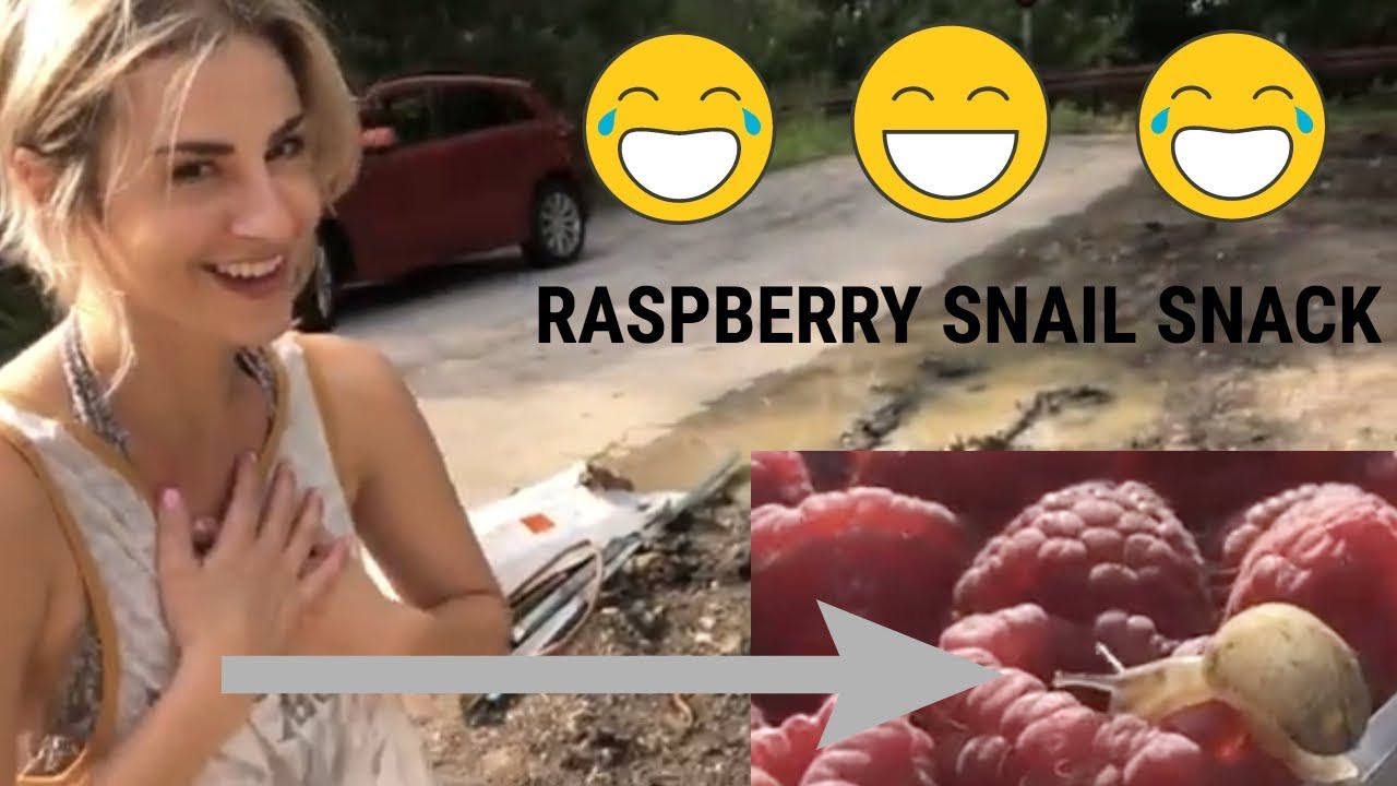 RASPBERRY SNAIL SNACK!!! - YouTube