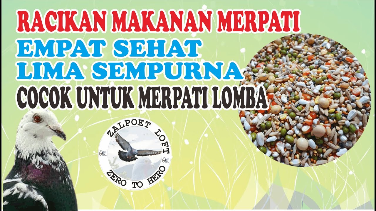 Cara meracik makanan merpati untuk player juara - YouTube