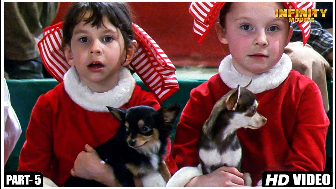 The 12 Dogs Of Christmas Celebration | The 12 Dogs Of Christmas Movie ...