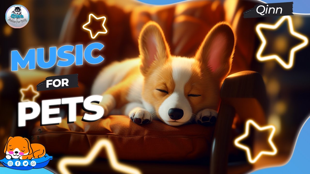 Calming Music For Dogs ~ Soothing Music for Dogs to relax ~ Dog Music ...