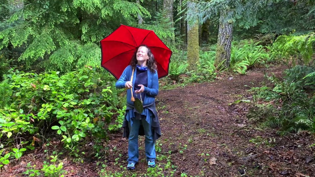 StillPoint Meditation Sound Bath in the Forest - YouTube