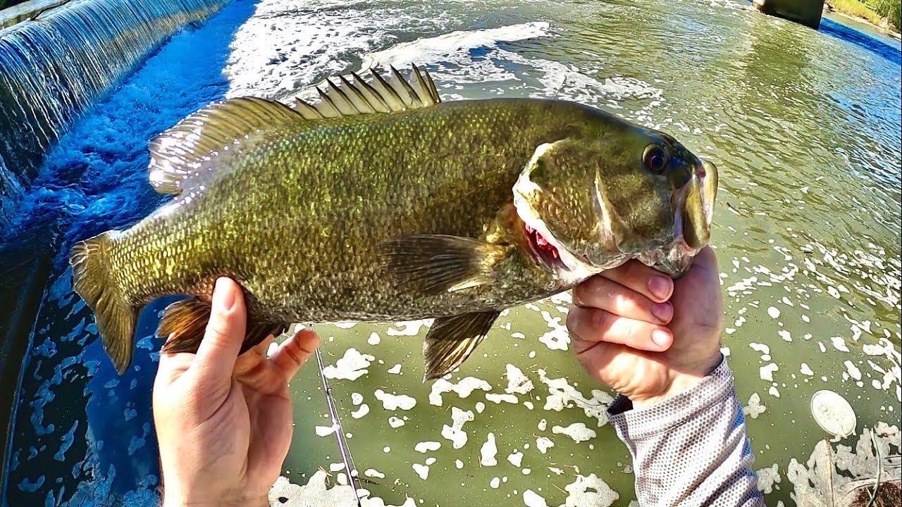 River Fishing for Bass | Ultra Light Fishing - YouTube