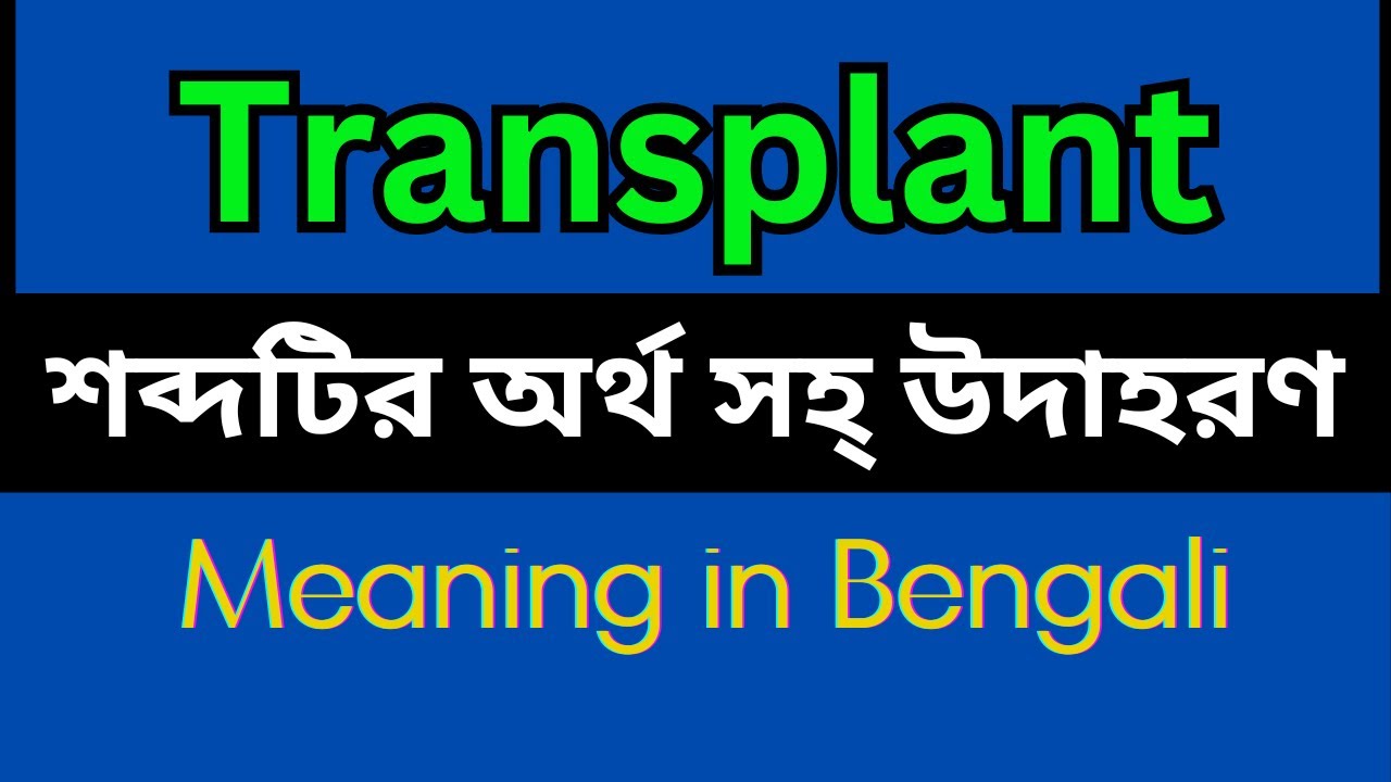 Transplant Meaning In Bengali Transplant Mane Ki YouTube transplant-meaning-in-bengali-transplant-mane-ki-youtube