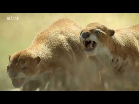 Prehistoric planet Ice Age promo Walking with beasts Theme 
