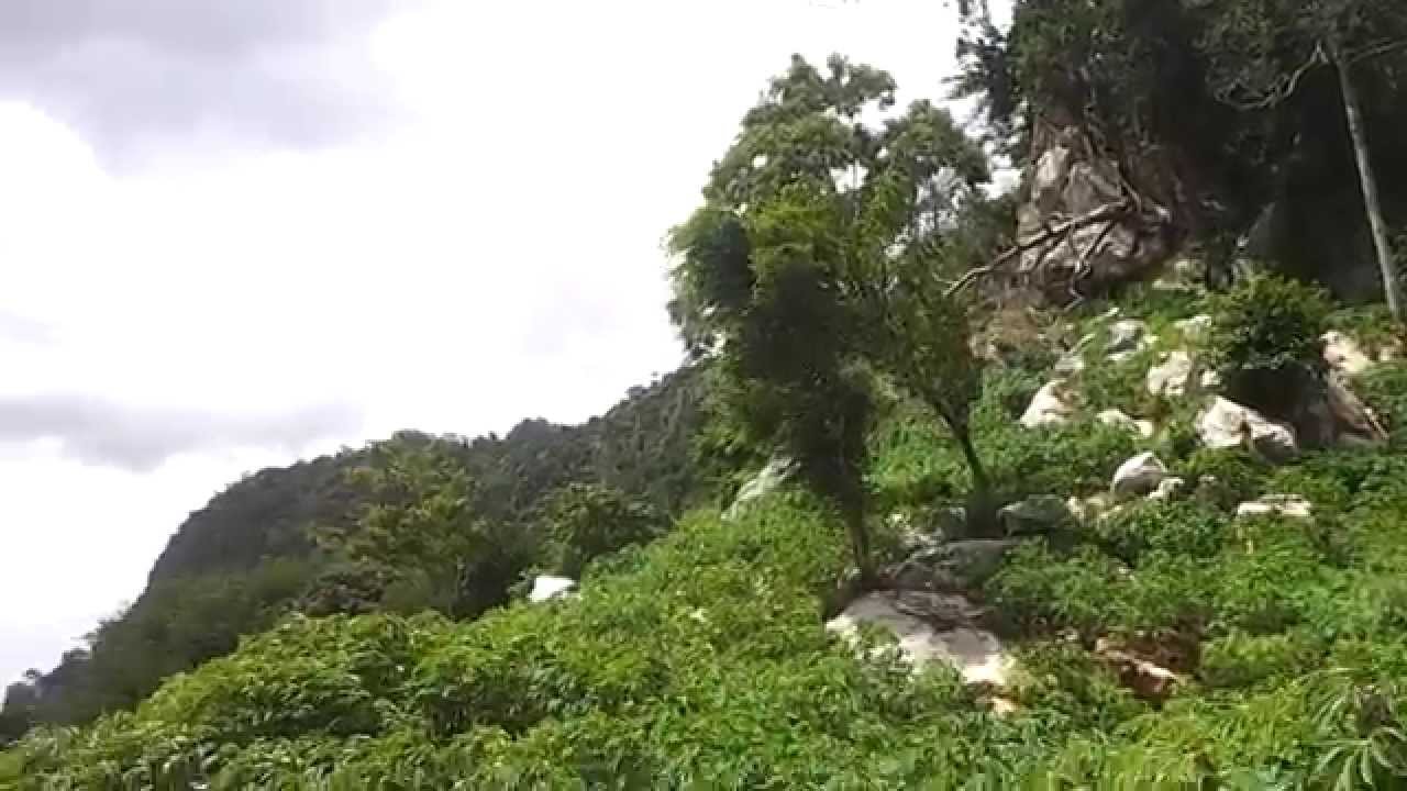 Behind Phnum Proek.The Morning Mountain. - YouTube