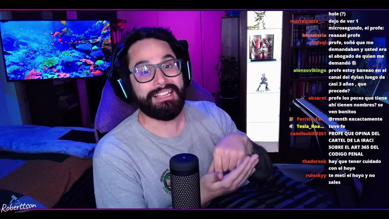 Rabbit Holes de Tik Tok - YouTube