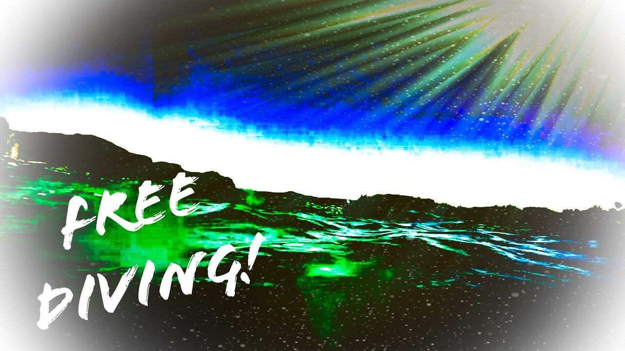 Free Diving The Tanks (Forster) - YouTube
