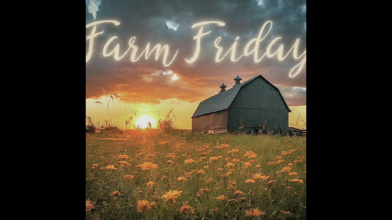 Farm Friday June 14th - YouTube
